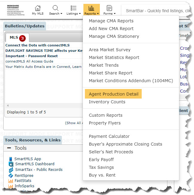 Agent Production Detail report – connectMLS